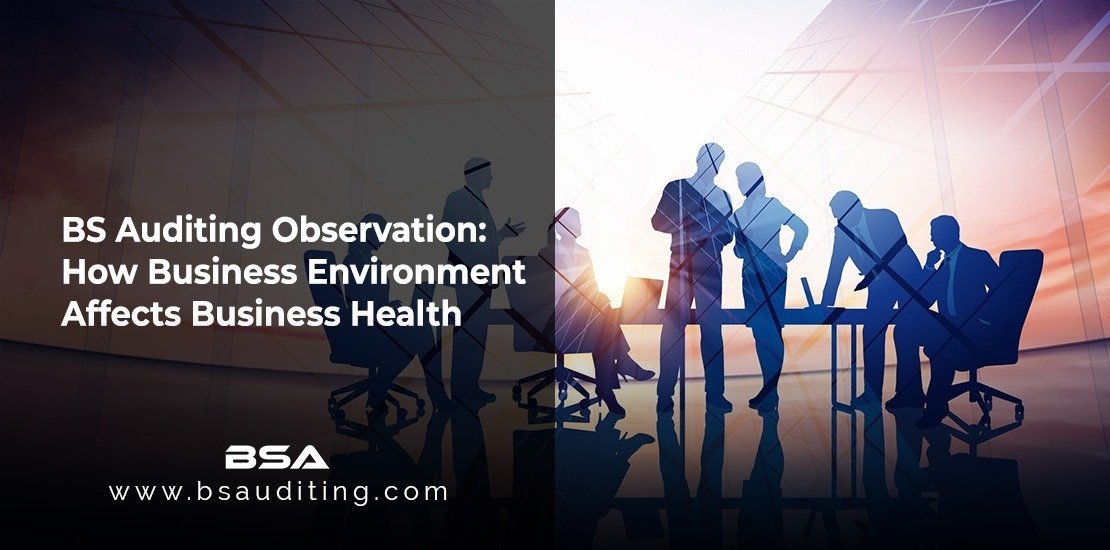 BS Auditing Observation: How Business Environment Affects Business ...